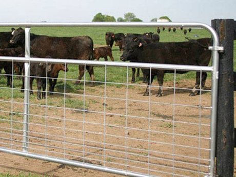 Corral gate Fencing & Gates| Wholesale Corral Panels